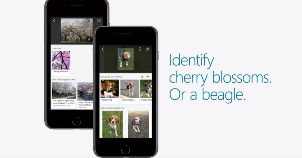 Microsoft ออก Bing Visual Search คู่แข่ง Google Lens ตัวช่วยในการค้นหาภาพ